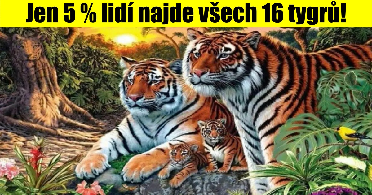 Na obrázku je celkem 16 tygrů. Jen 5 % lidí je dokáže najít všechny ...