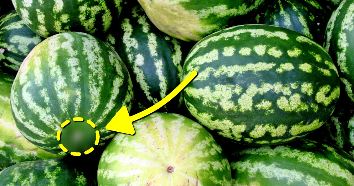 Jak v obchodě vždy vybrat zralý, šťavnatý a sladký meloun