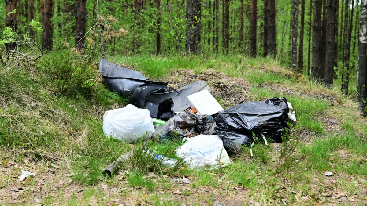 Žena odhodila odpadky v lese. Brzy se jí vrátily | DámskýDeník.cz