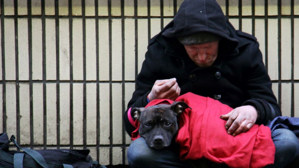 Bezdomovec se ujal psa bez zadních nohou. Lidé se rozhodli jim pomoct
