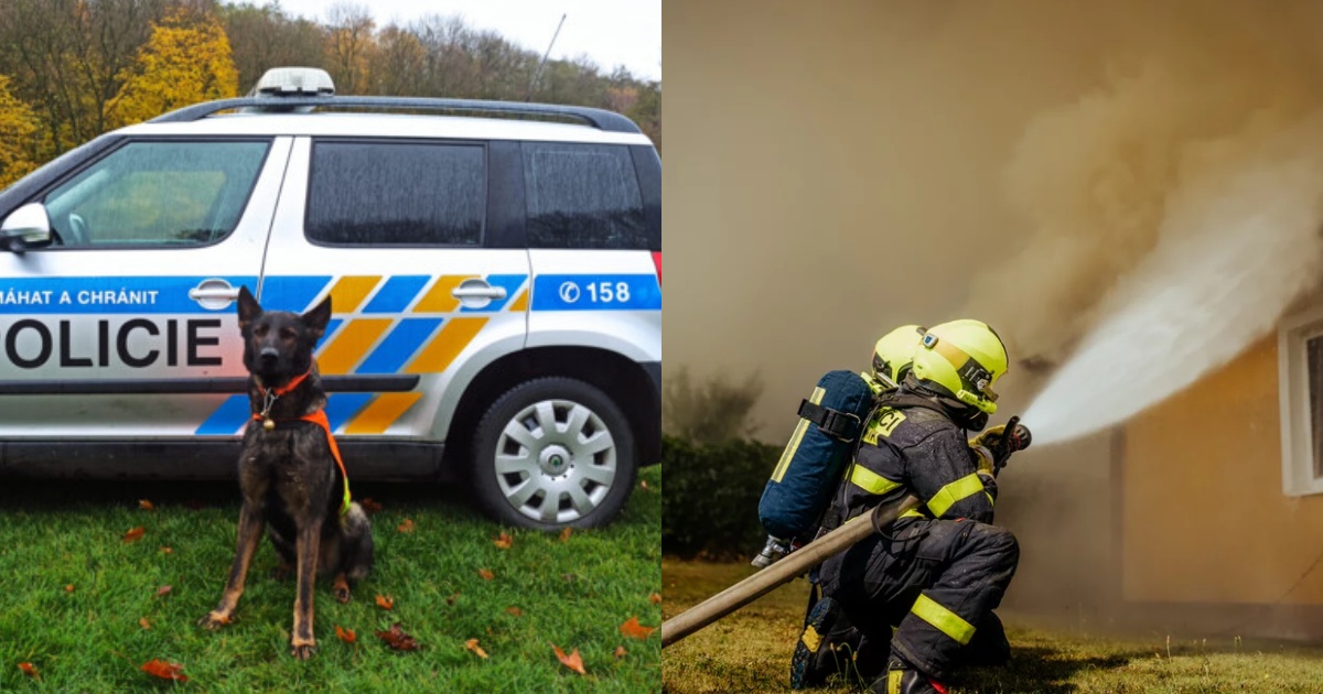 Policejní pes neváhá a vbíhá do plamenů. Jde o hrozně moc